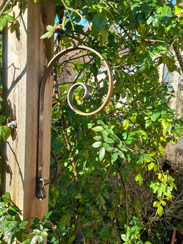 Handmade Blacksmith Made Bracket with Fish Tail Scrolls | Shrubbs Plant ...