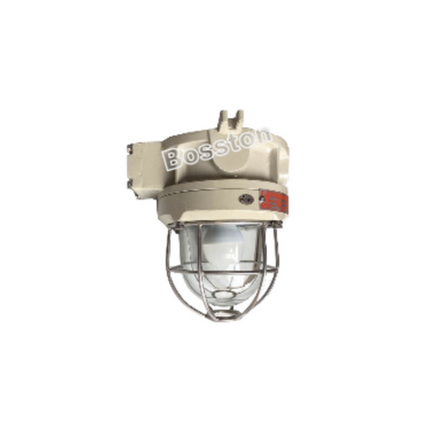 L14 - Incandescent and Compact Fluorescent Lighting Fixture Lighting ...