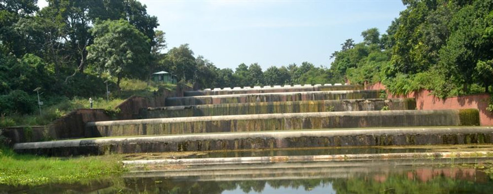 Pilibhit Tiger Reserve: A Jewel of India’s Wildlife Heritage