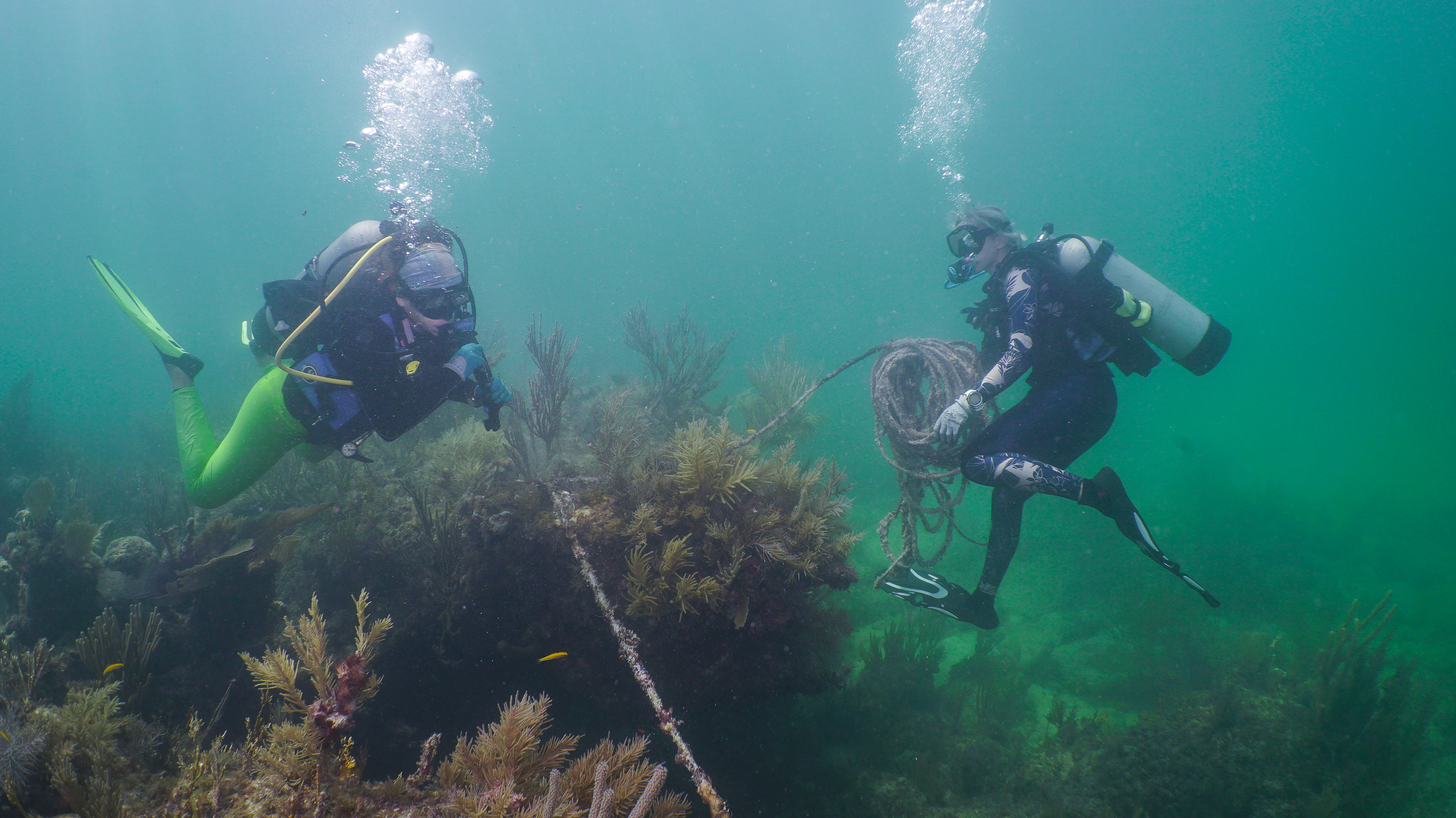 Help Clean Our Reefs | Dive & Snorkel Trips For Cleaning Marine Debris