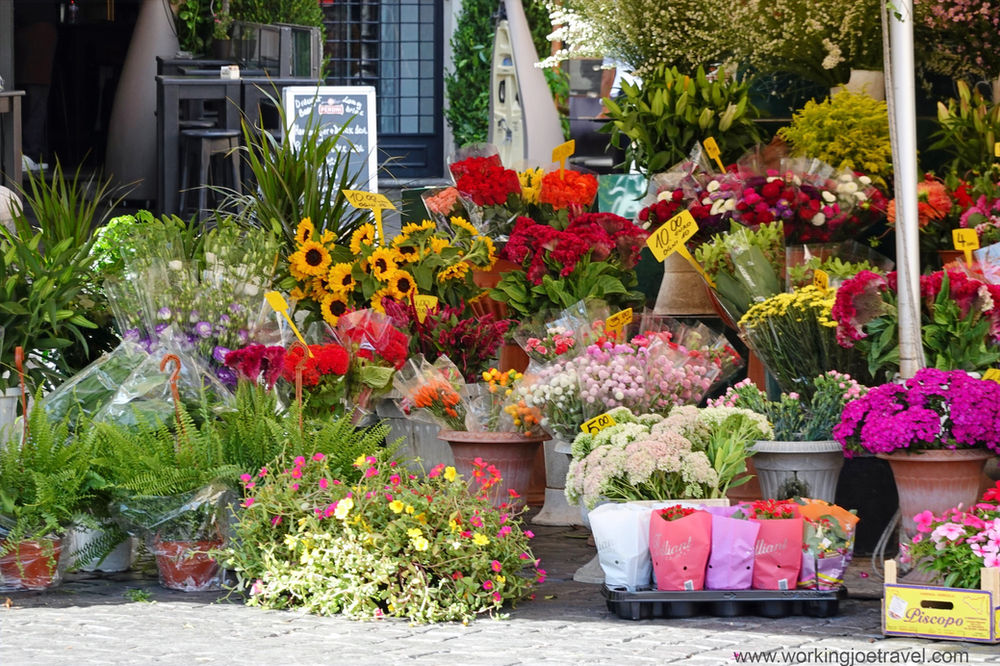 3-5 Day Travel Itinerary: Rome, Italy