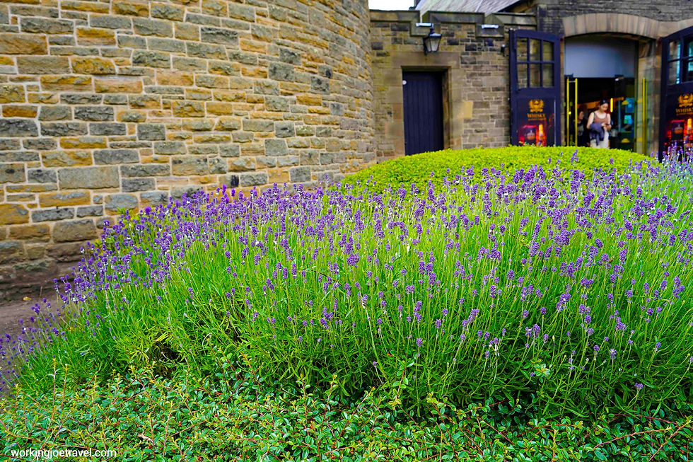 All About Edinburgh Castle
