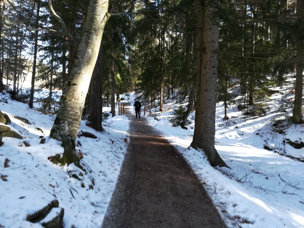 FREUD PROMENADE: DER SPAZIERGANG FUER ALLE