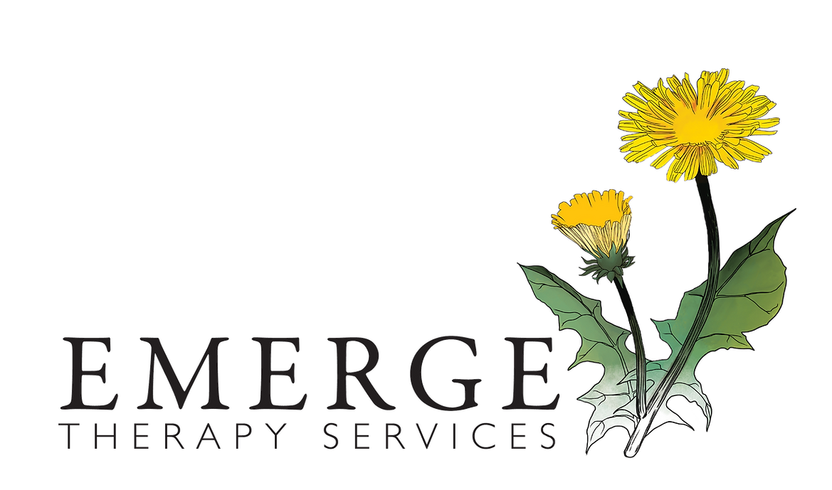 Home | Emerge Therapy Servi