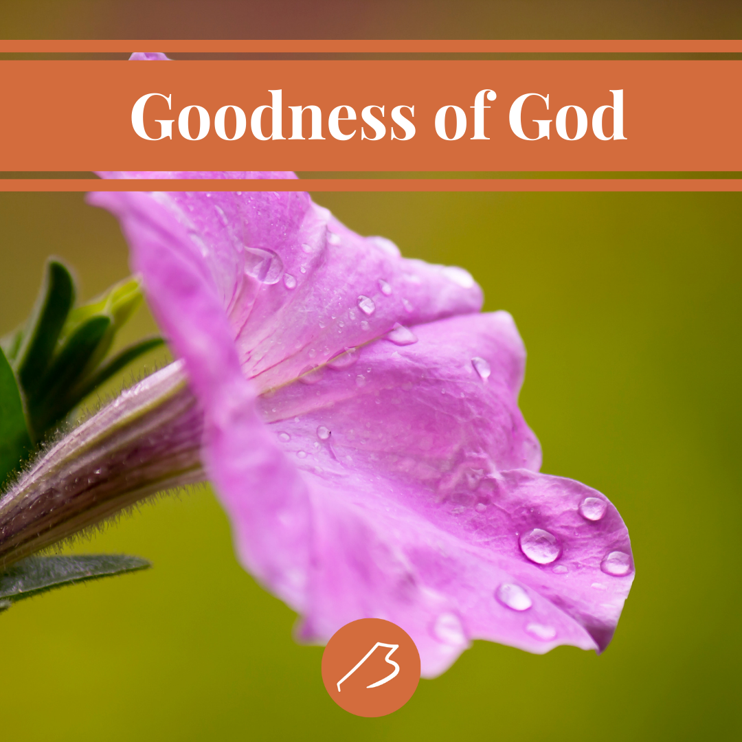 Goodness of God