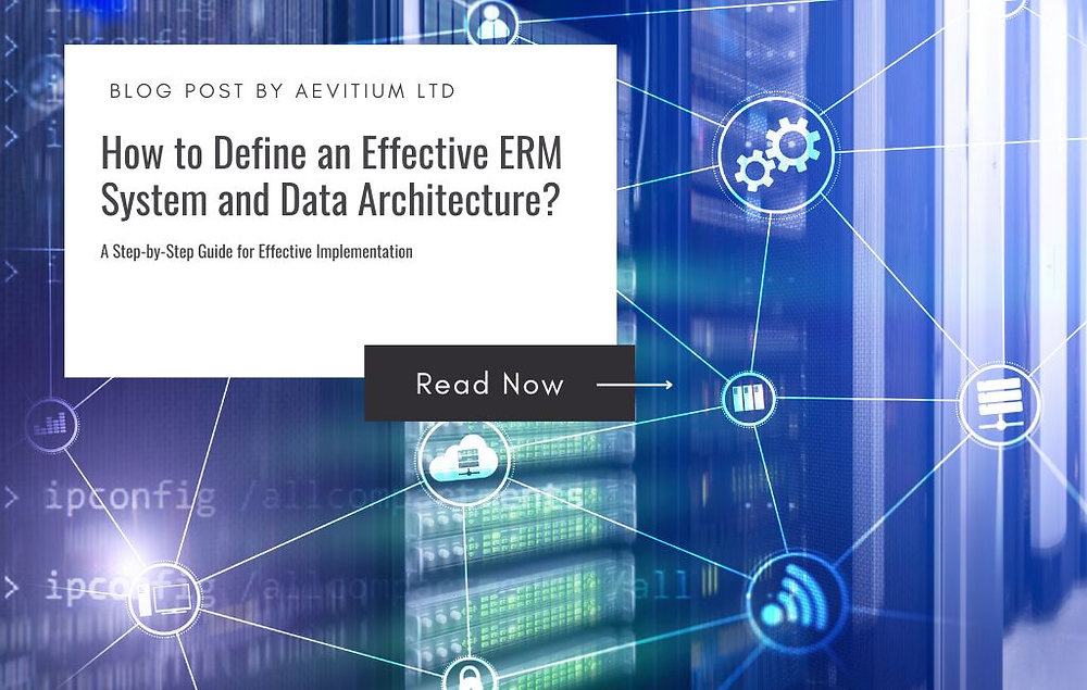 Defining an Effective ERM Software and Data Architecture: Best Practices