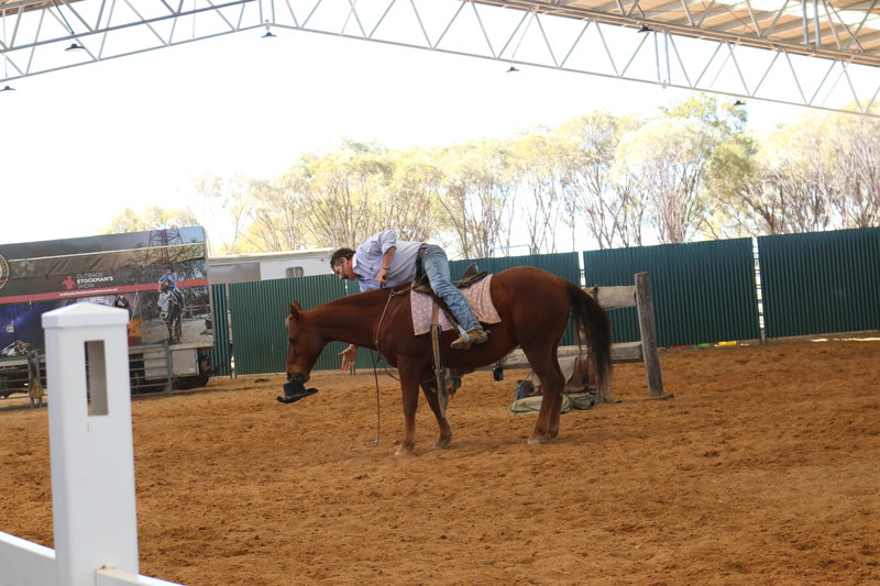 Why You Should Visit The Australian Stockman's Hall of Fame | Outback ...