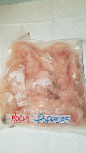 Rock Poppers | Mysite