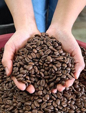 Café Montañés, el mejor café del Ecuador, tostado molido y en grano