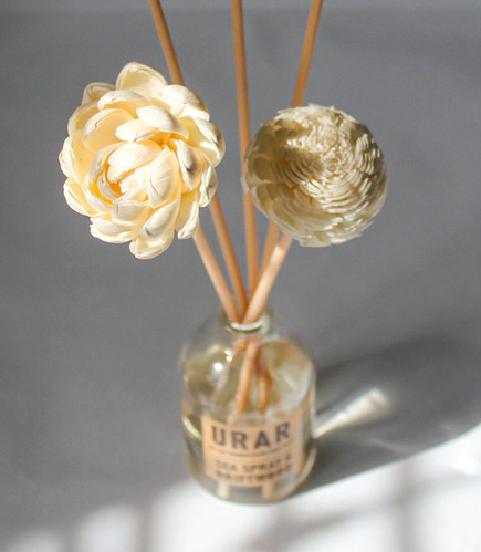 Urar 1: Sea Spray and Driftwood Flower Reed Diffuser | Hamilton and Morris