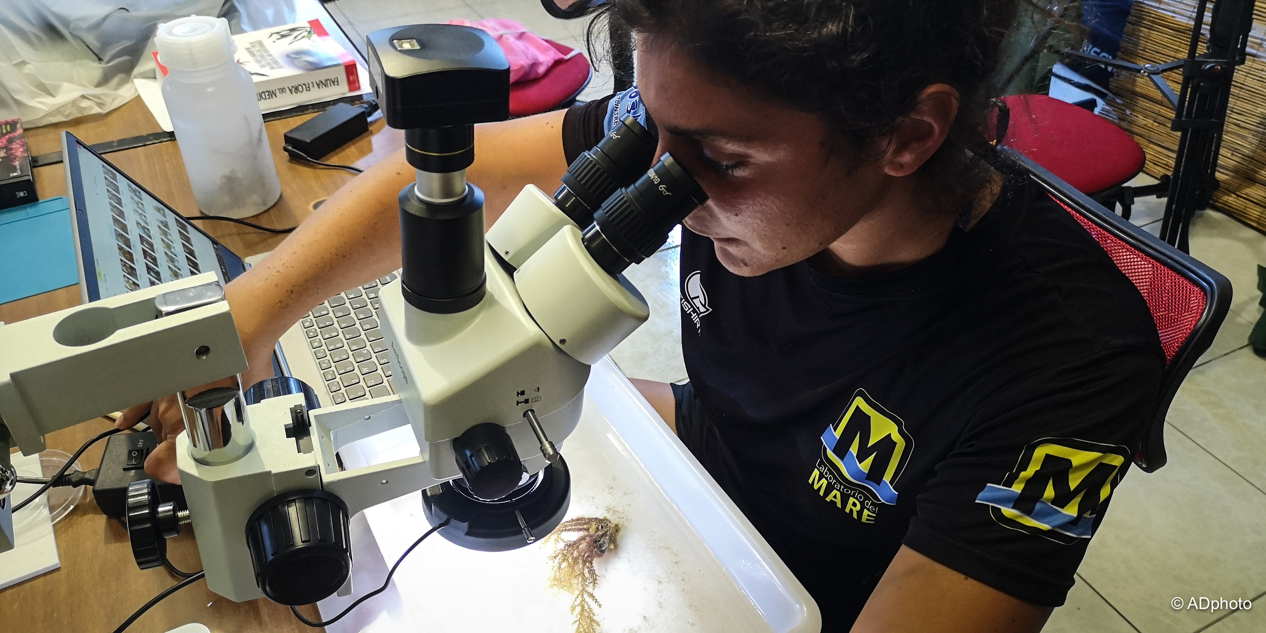 Marlintremiti | Laboratorio del MA.RE.