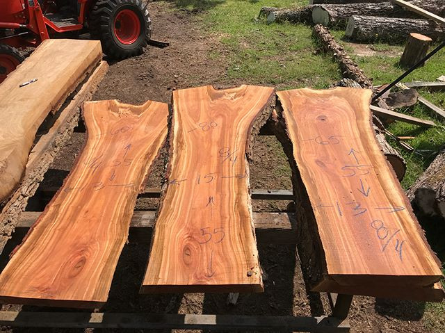 Managed to knock out a small cherry log