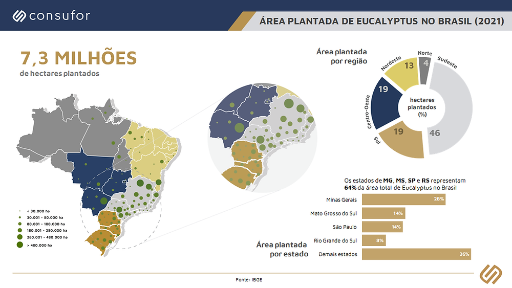 Área Plantada de Eucalyptus no Brasil