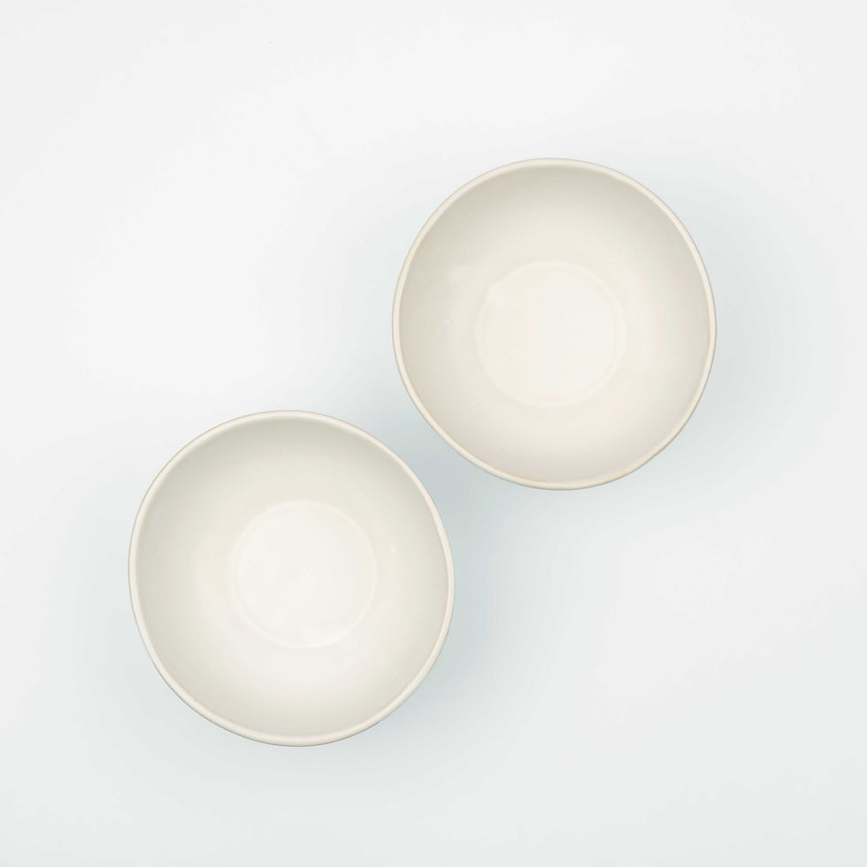 Earth Tatva - Recycled Ceramics