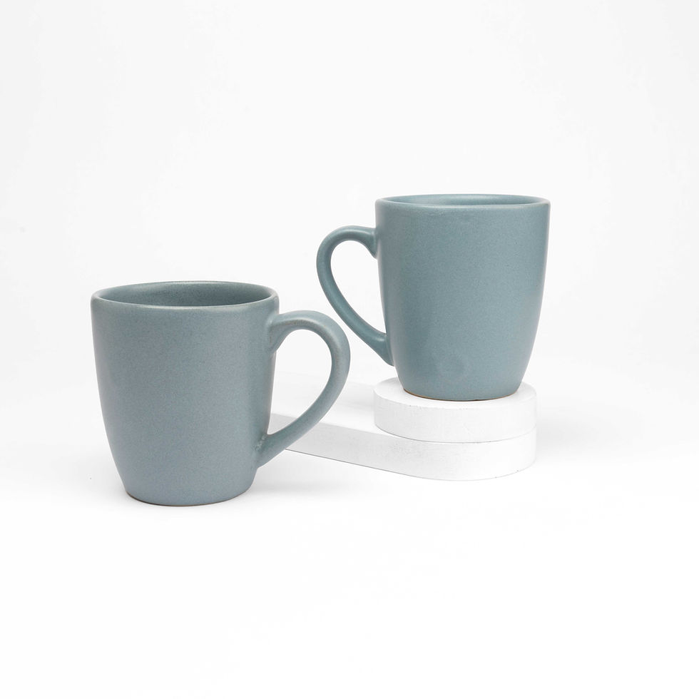 Earth Tatva - Recycled Ceramics