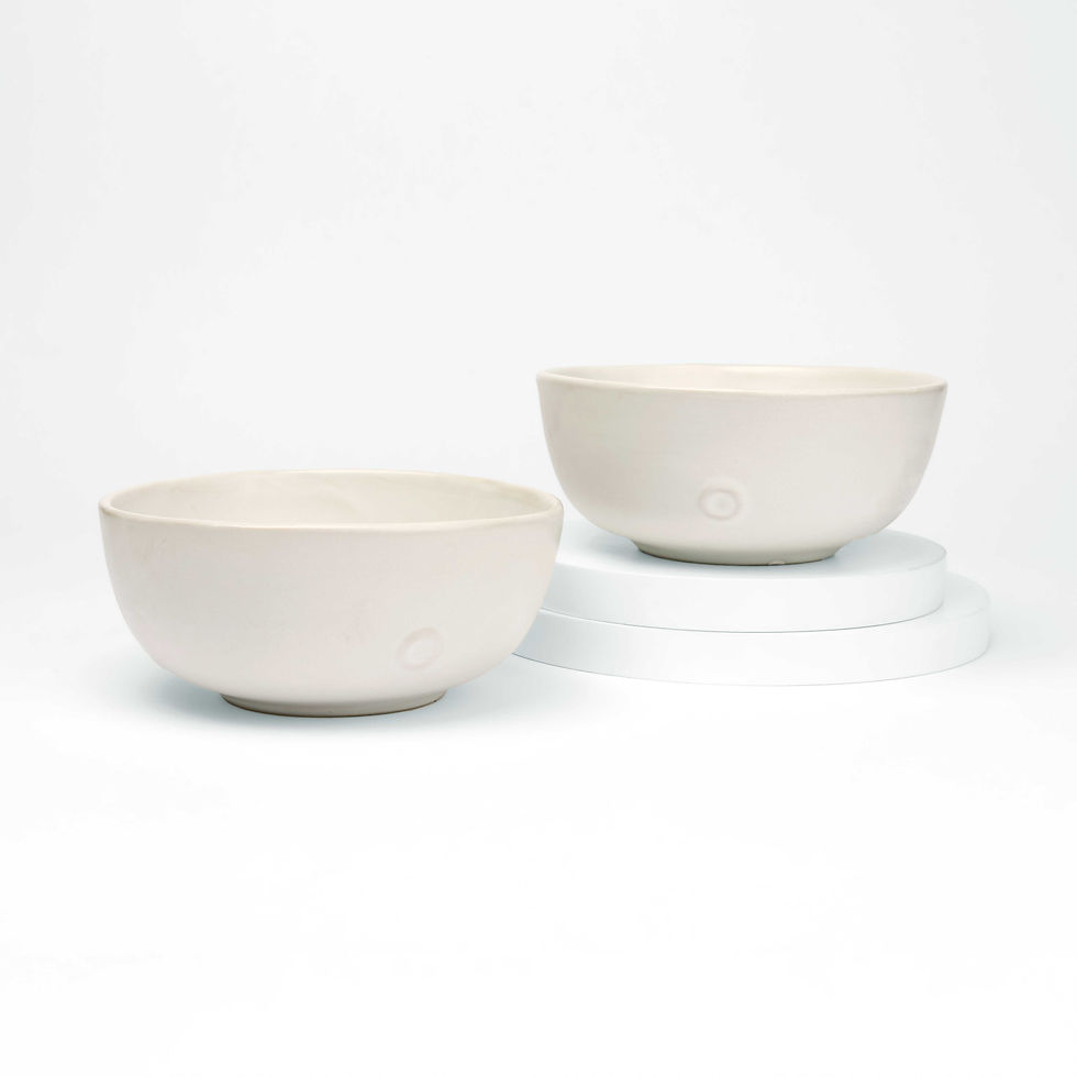 Earth Tatva - Recycled Ceramics