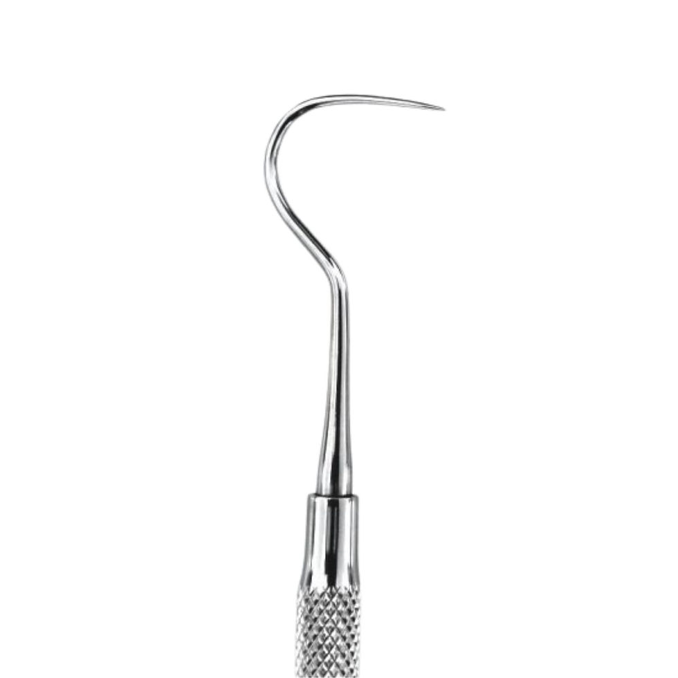 Pulp Explorer | EVDS_South