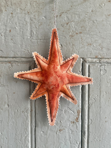 Star Keepsake | Ben Peck-Whiston