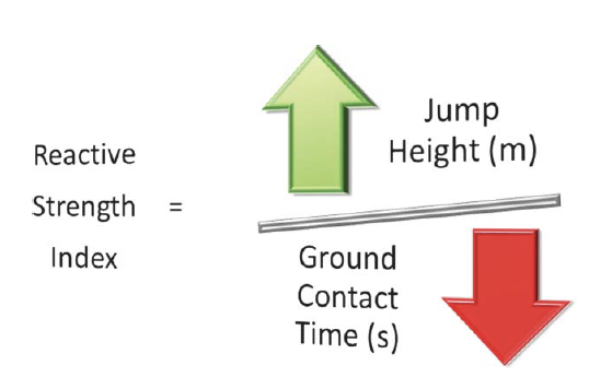 Understanding The Reactive Strength Index (RSI)