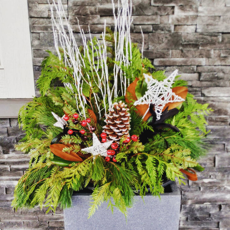 Planter Arrangements | Order Online!