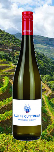 Louis Guntrum Dry Riesling 2021 (6 bottles case) | Dunstable Wines