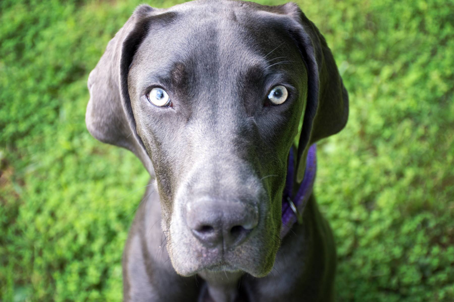 Photos | DeMille Blue Bloods