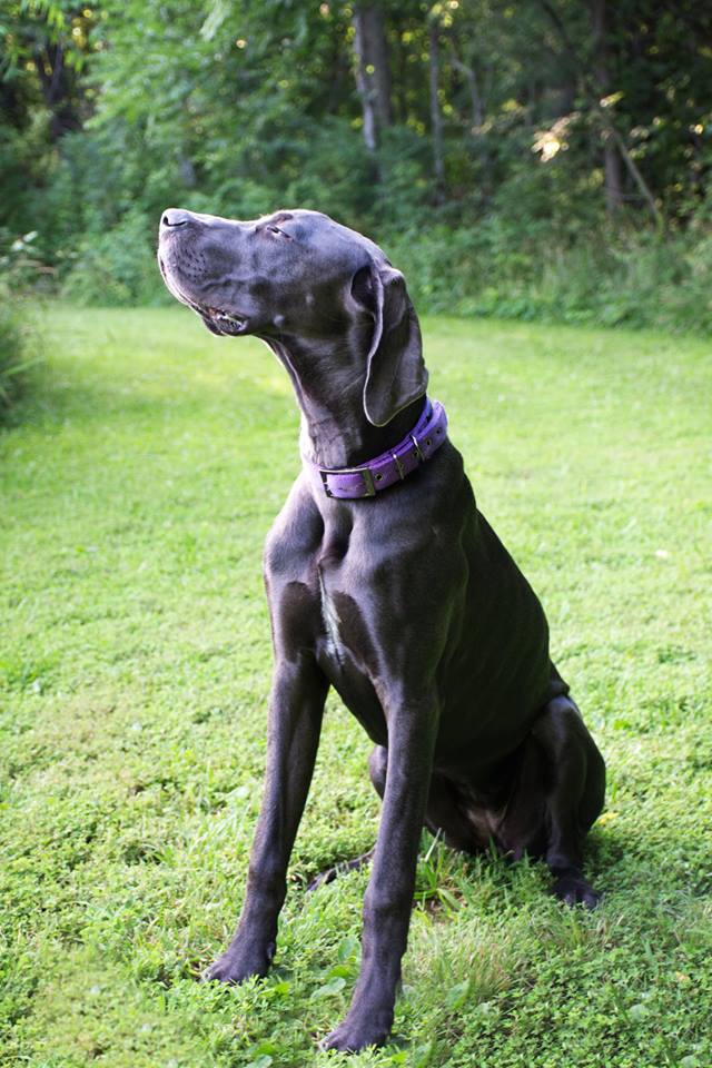 Photos | DeMille Blue Bloods