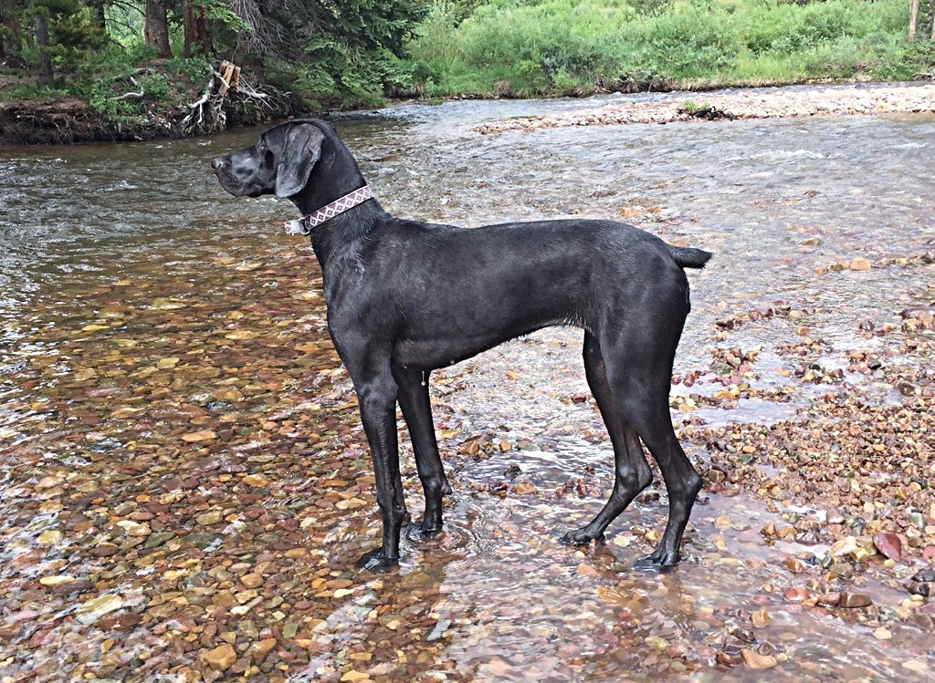 Photos | DeMille Blue Bloods