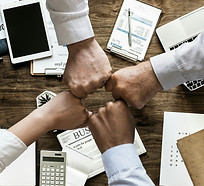 Exportation | Sofradis