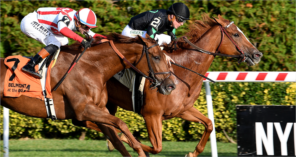 Edict delivered, while Coni Fizz finished last in the Noble Damsel Stakes