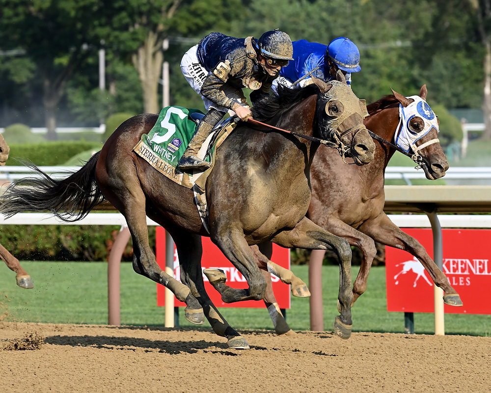 Chad Brown: “Sierra Leone is the Best Horse I’ve Ever Trained”