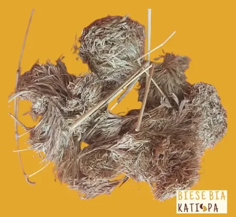 African spiritual shop Luangu-luangu incense | Biese bia Katiopa