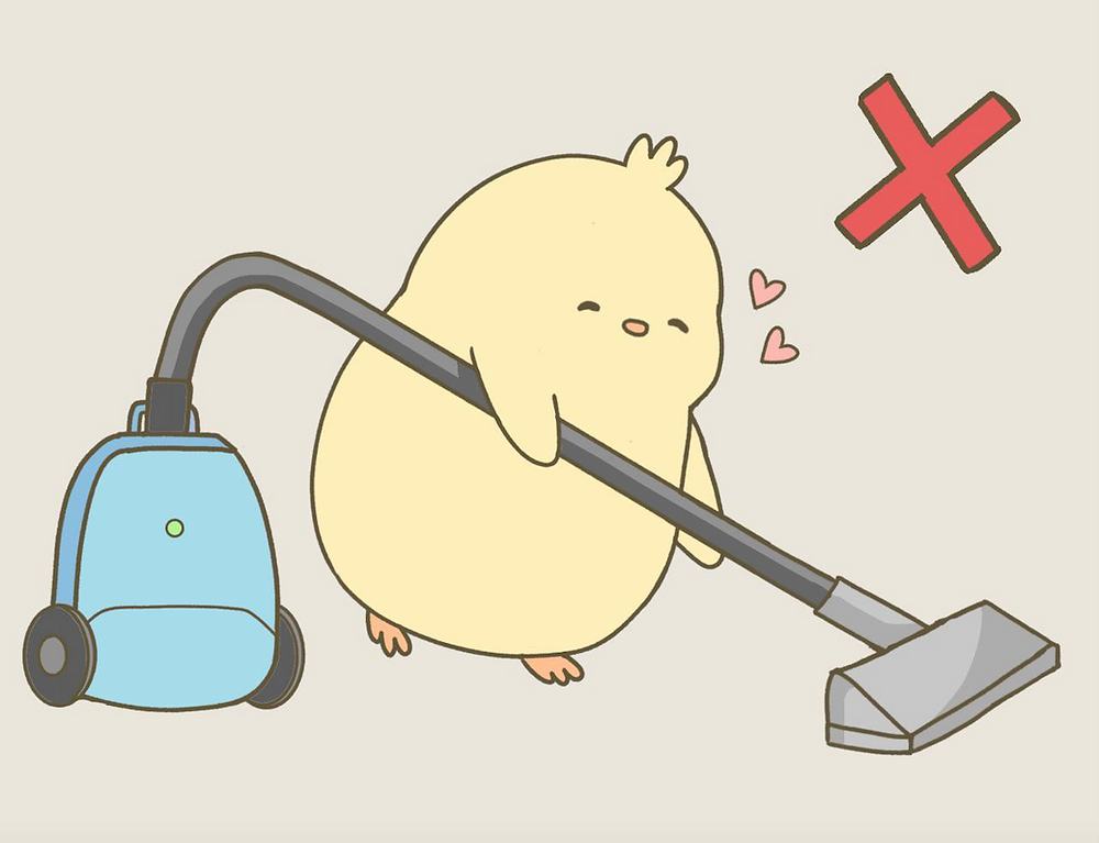 OCD vs. Cleanliness; What's the Difference?