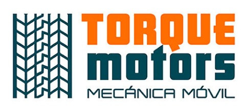 Torque Motors | Soluciones integrales en mecánica automotriz | Santiago ...
