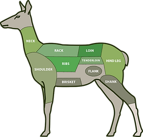 deer meat cuts