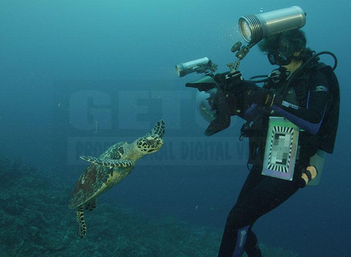 DSC Labs 攜帶型 CamAlign 圖卡 Splash - 水下攝影專用 | GETOP