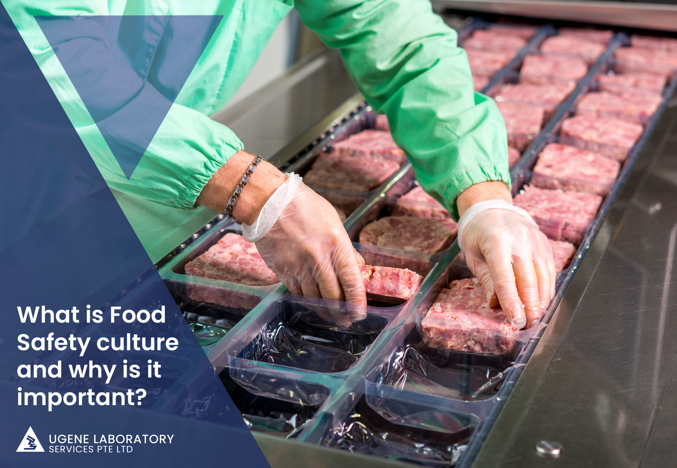 Creating a positive Food Safety culture