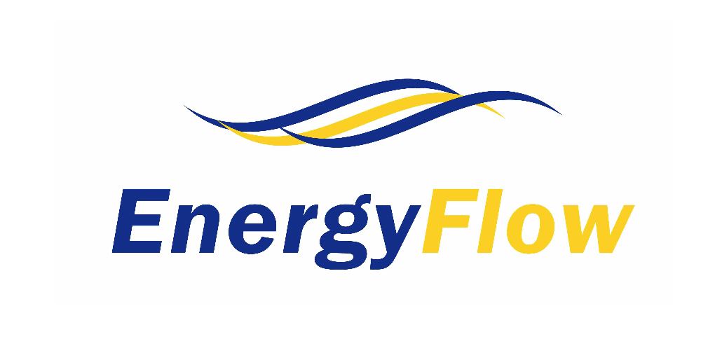 Flow Energy Logo Profile For Dynamic E Flow