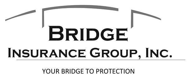 Bridge Insurance Group Media Hub