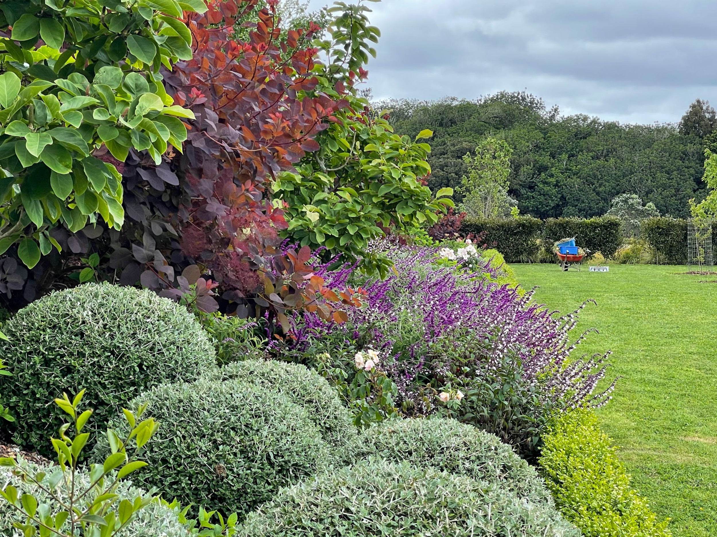 Country garden design with French flair in Pukekohe | HEDGE Garden Design