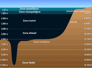 A Zona Abissal e Seus Seres Fantásticos!