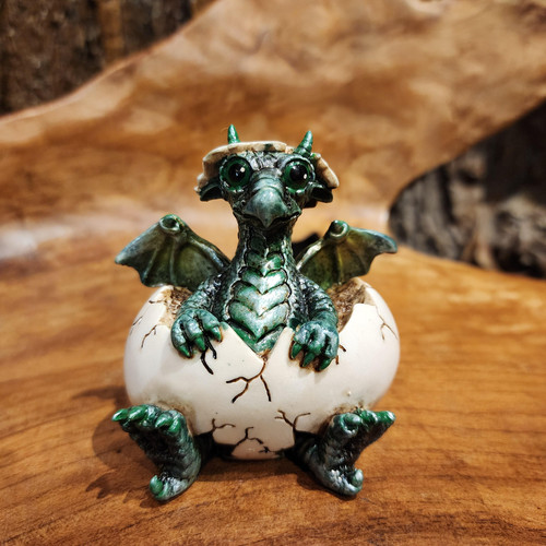Dompy baby dragon | Fantasy Shop Chimera