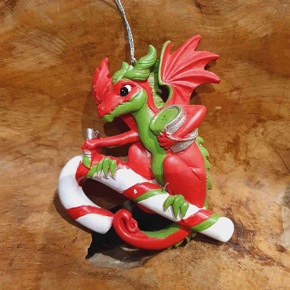 Dragons | Fantasy shop Chimera | Amsterdam-Centrum