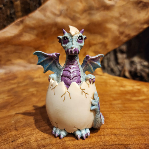 Sammy baby dragon | Fantasy Shop Chimera