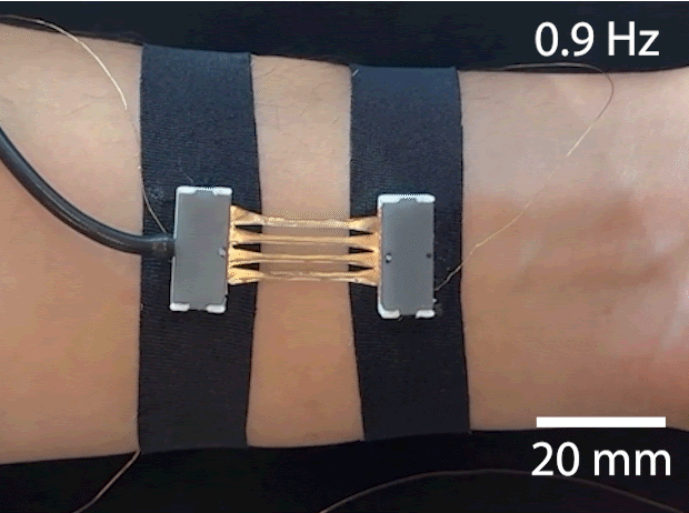 Research Publications | Devyansh Agrawal