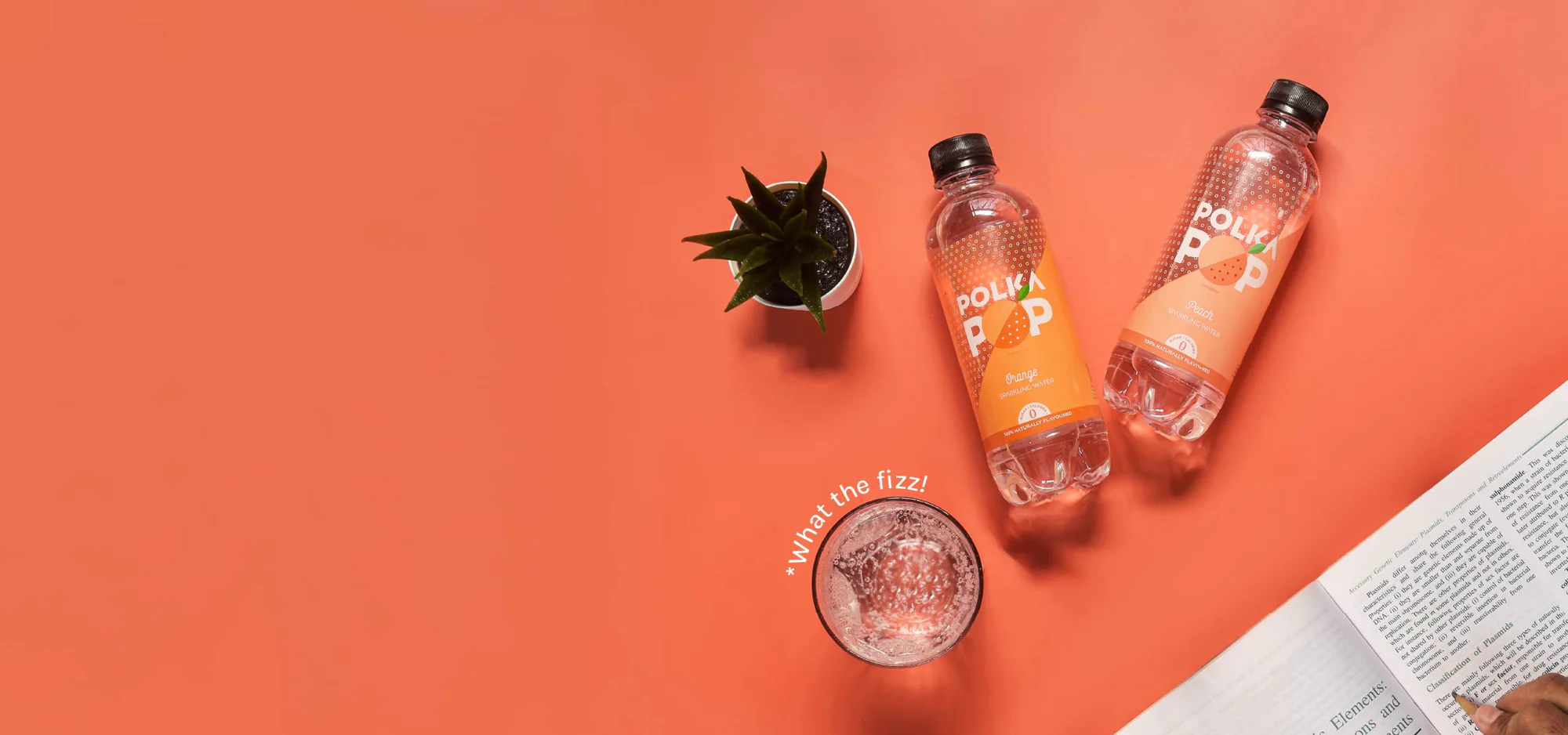 Polka Pop | Naturally Flavored Sparkling Water With Zero Calories