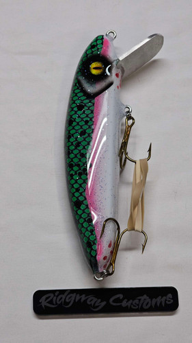 7 inch Two Tone Rainbow Trout | Ridgway Customs