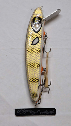 10 inch Golden Perch | Ridgway Customs