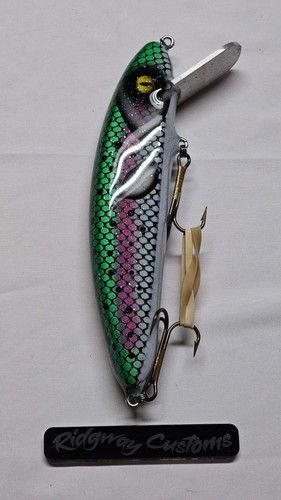 8 inch Rainbow Trout | Ridgway Customs