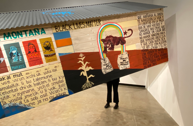 Zapantera Negra | My Site